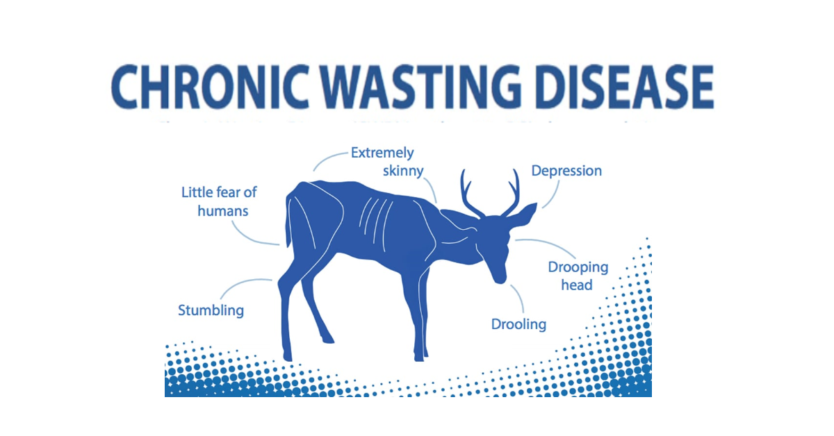 Shadow Looming: Could Chronic Wasting Disease Jump from Wildlife to Humans?